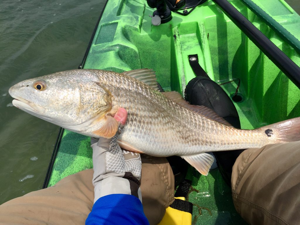Texas summer fishing spots for the entire family